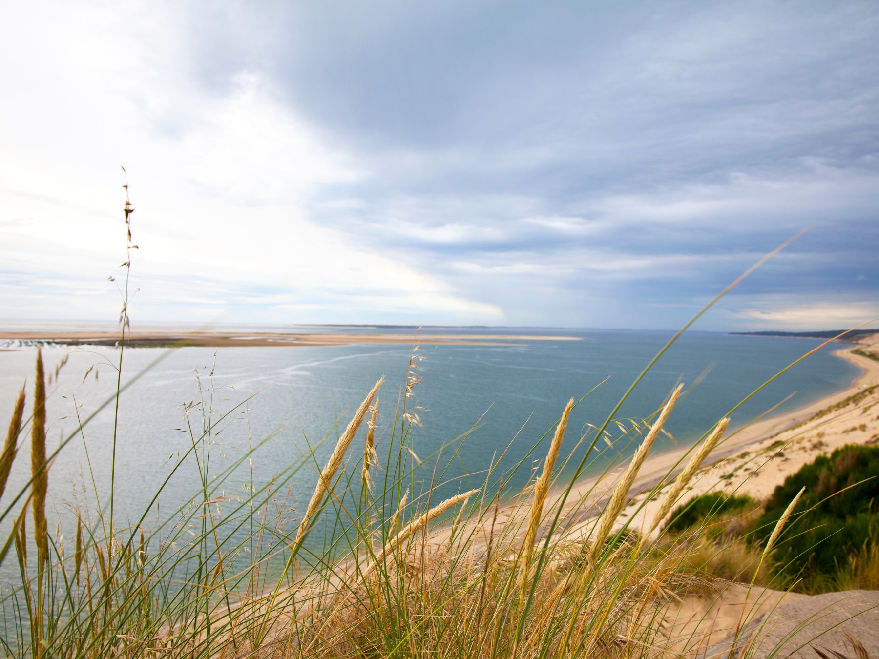 Top 9 des meilleurs restaurants d'Arcachon